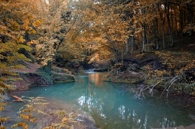 Testimonials – Alexander Technique with Lisa Galbraith Heyl